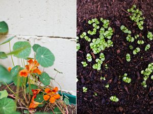 Sean Durbin | Who Does the Dishes